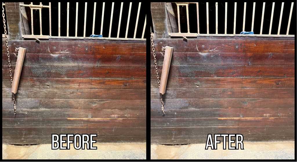 5 Barn Hacks that Really Work, Presented by Ecovet | HORSE NATION