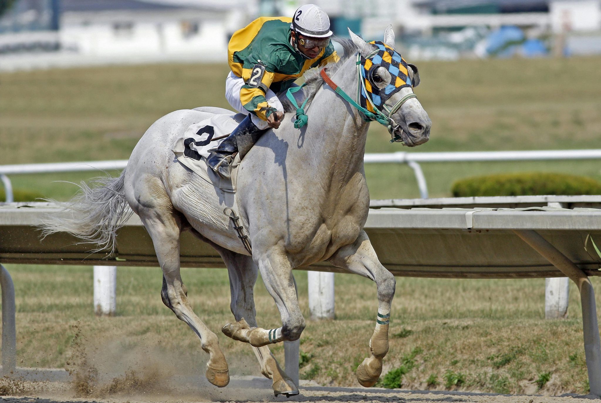 Speed vs. Stamina: Which Contenders Have What It Takes for Belmont’s ...