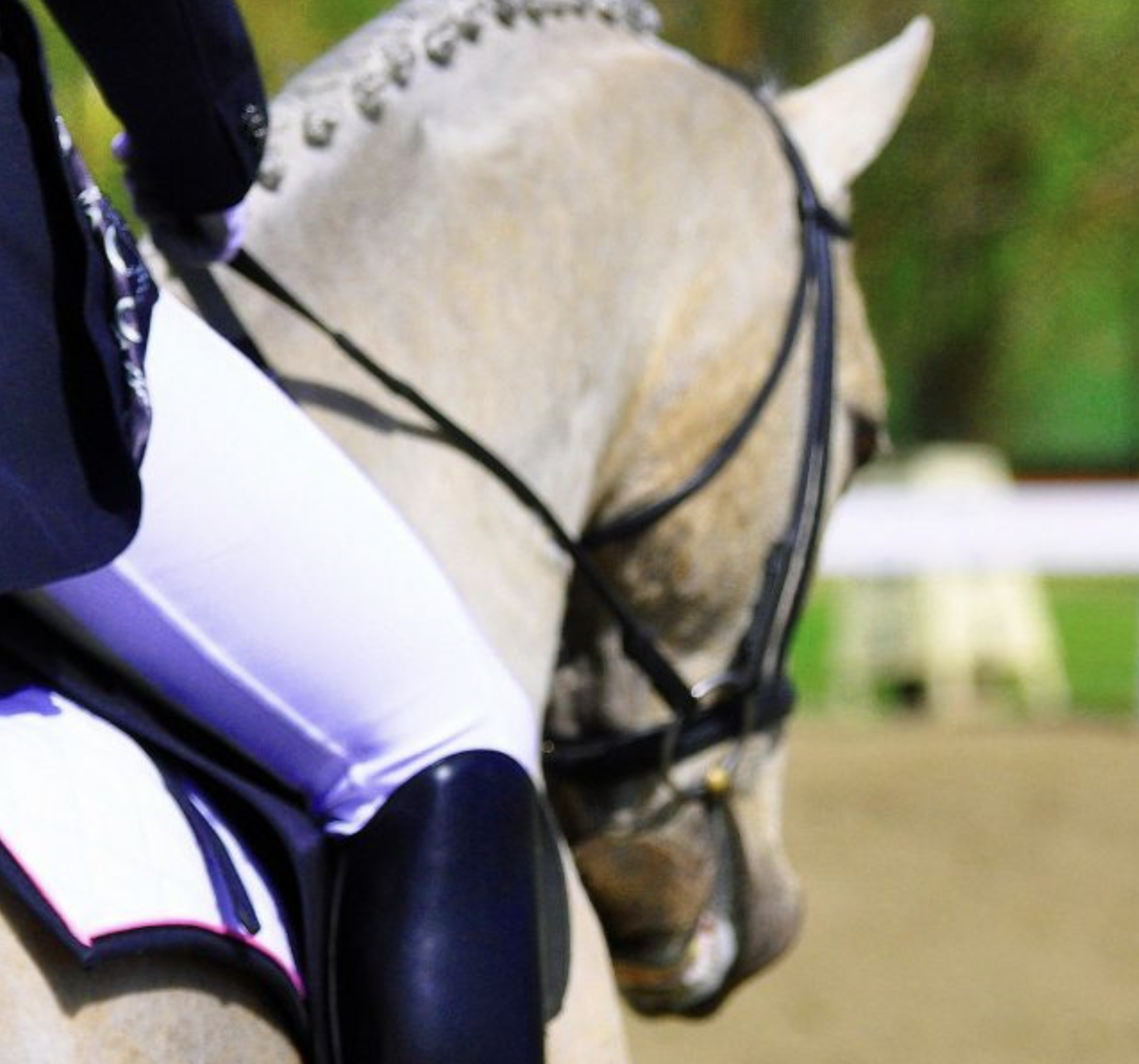 Training in the Right Way: Why We Don’t Pull in Dressage | HORSE NATION
