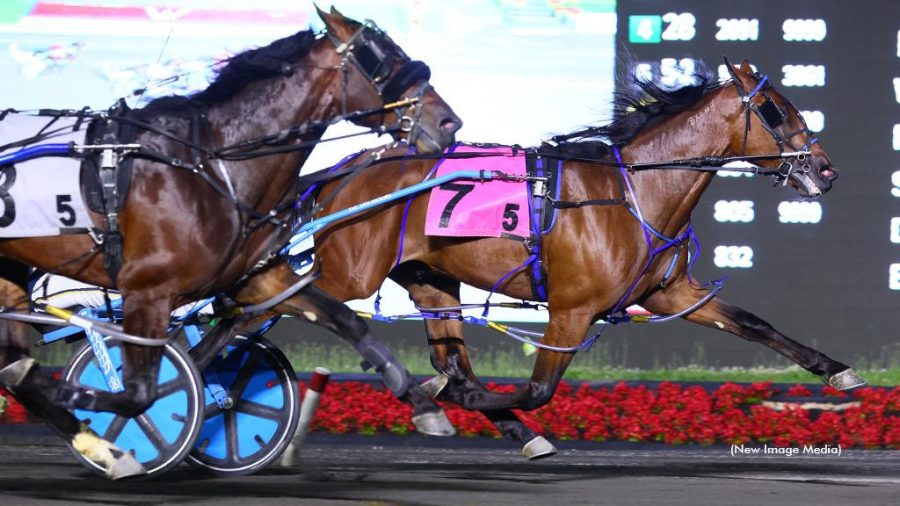 2025 Meadowlands Pace Preview | HORSE NATION