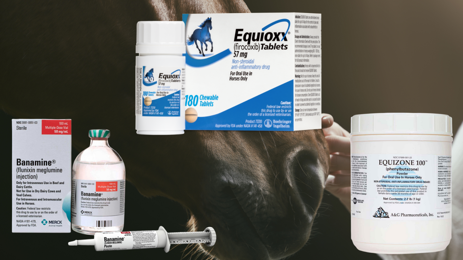 Which NSAID? Equioxx (Firocoxib) vs. Bute (Phenylbutazone) vs. Banamine ...