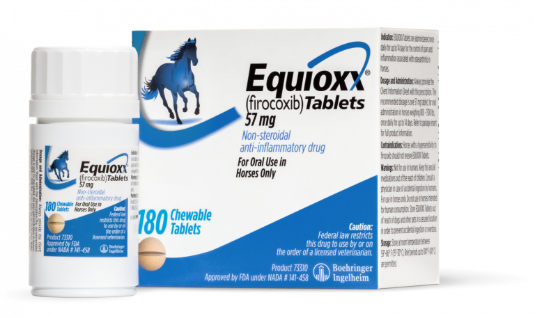 Which NSAID? Equioxx (Firocoxib) vs. Bute (Phenylbutazone) vs. Banamine ...