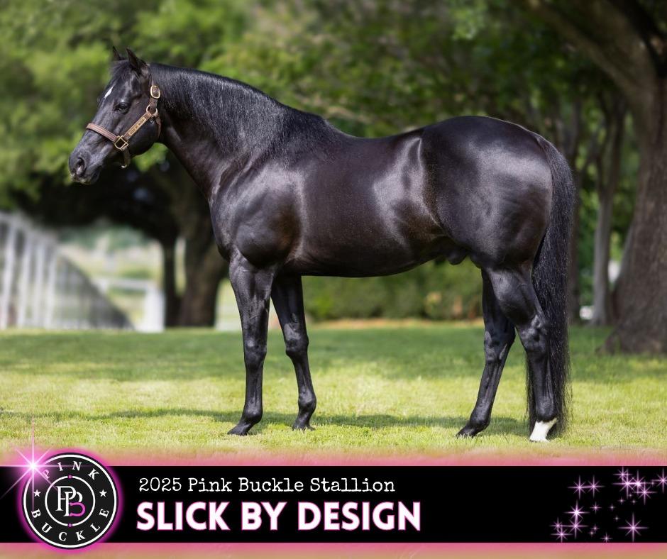 A Farewell to Slick By Design: Remembering a Legend in Barrel Racing ...