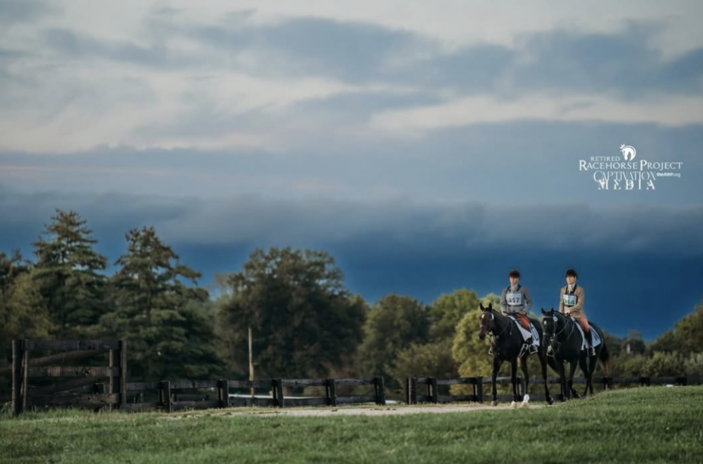 Retired Racehorse Project Thoroughbred Makeover and National Symposium ...
