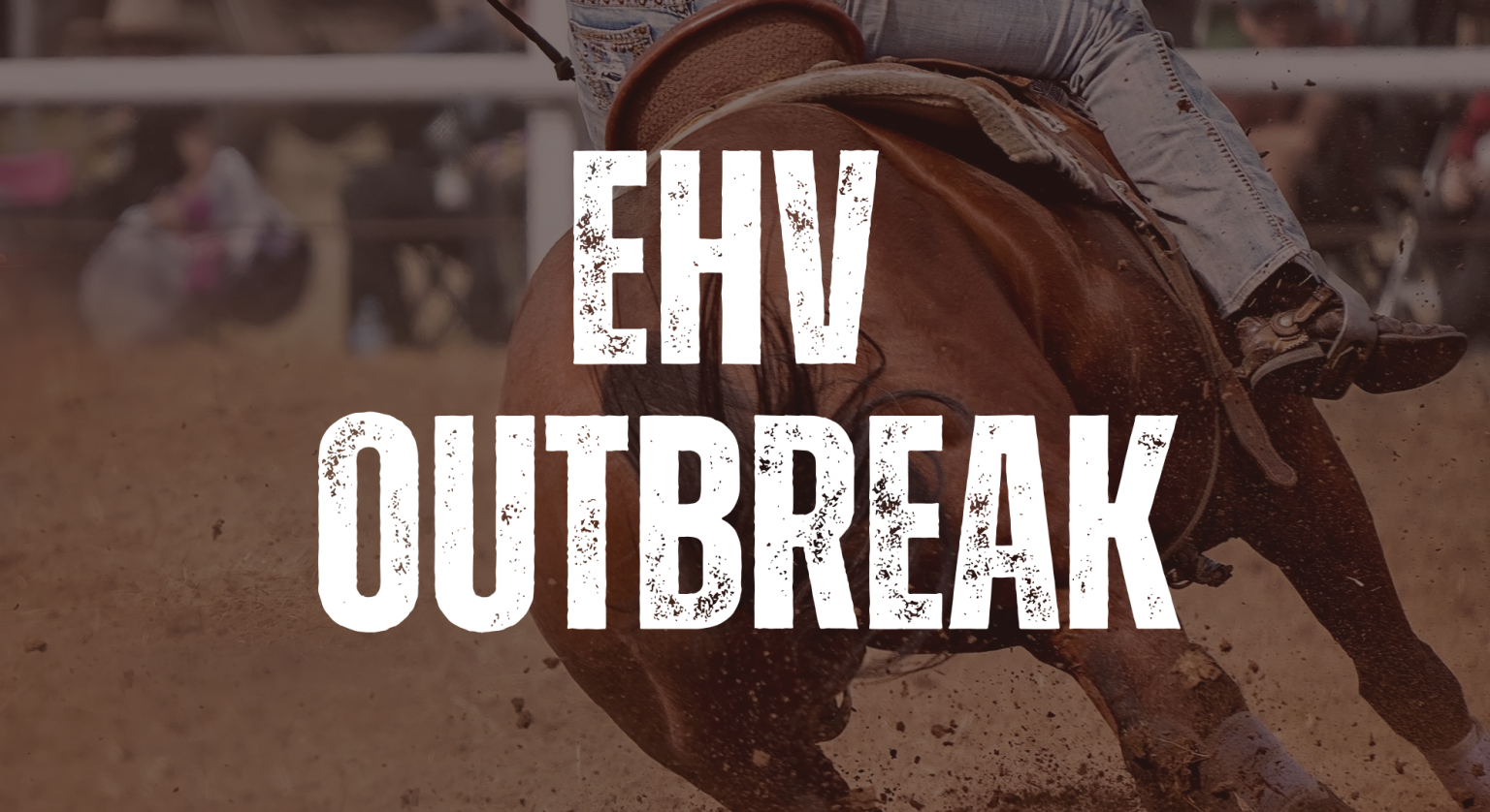 EHV-1 Outbreak Linked to Texas WPRA Event Prompts Multi-State ...