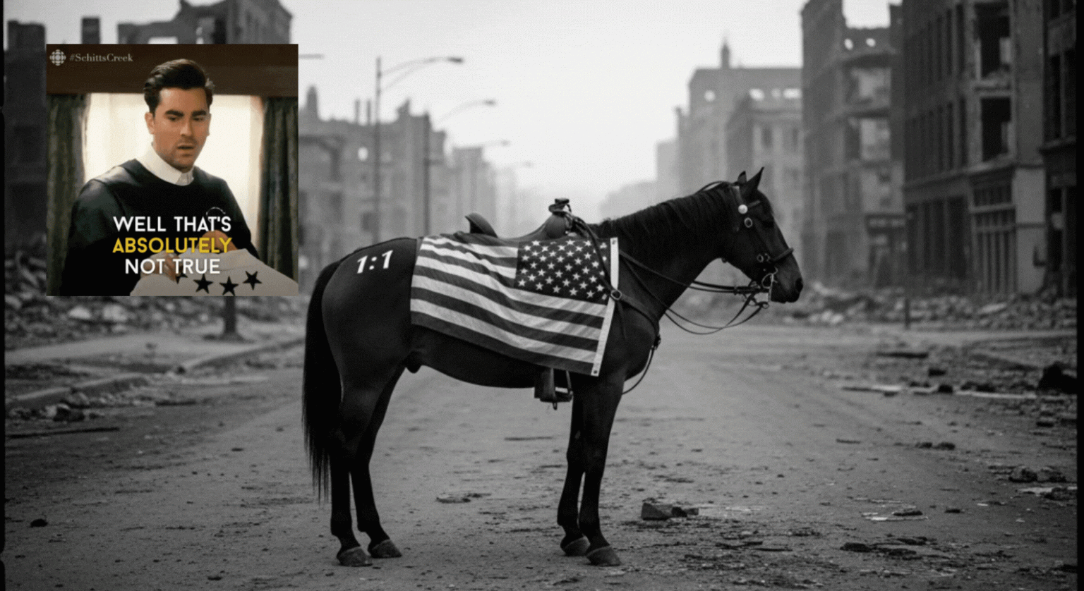 No, There Was Not a Horse Named Sirius Standing Vigil at Ground Zero ...