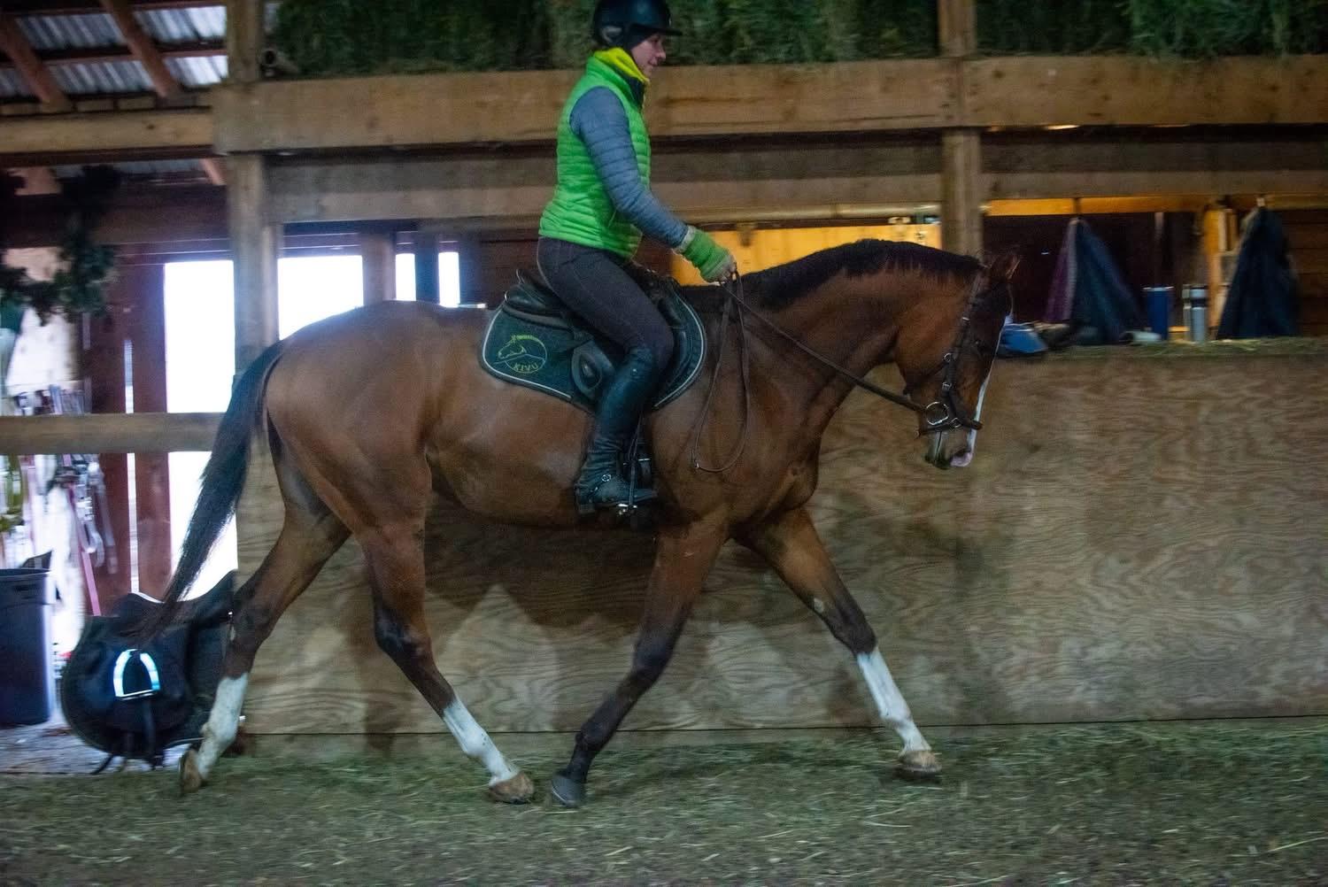 Thoroughbred Logic, Presented by Kentucky Performance Products: Go Wide ...