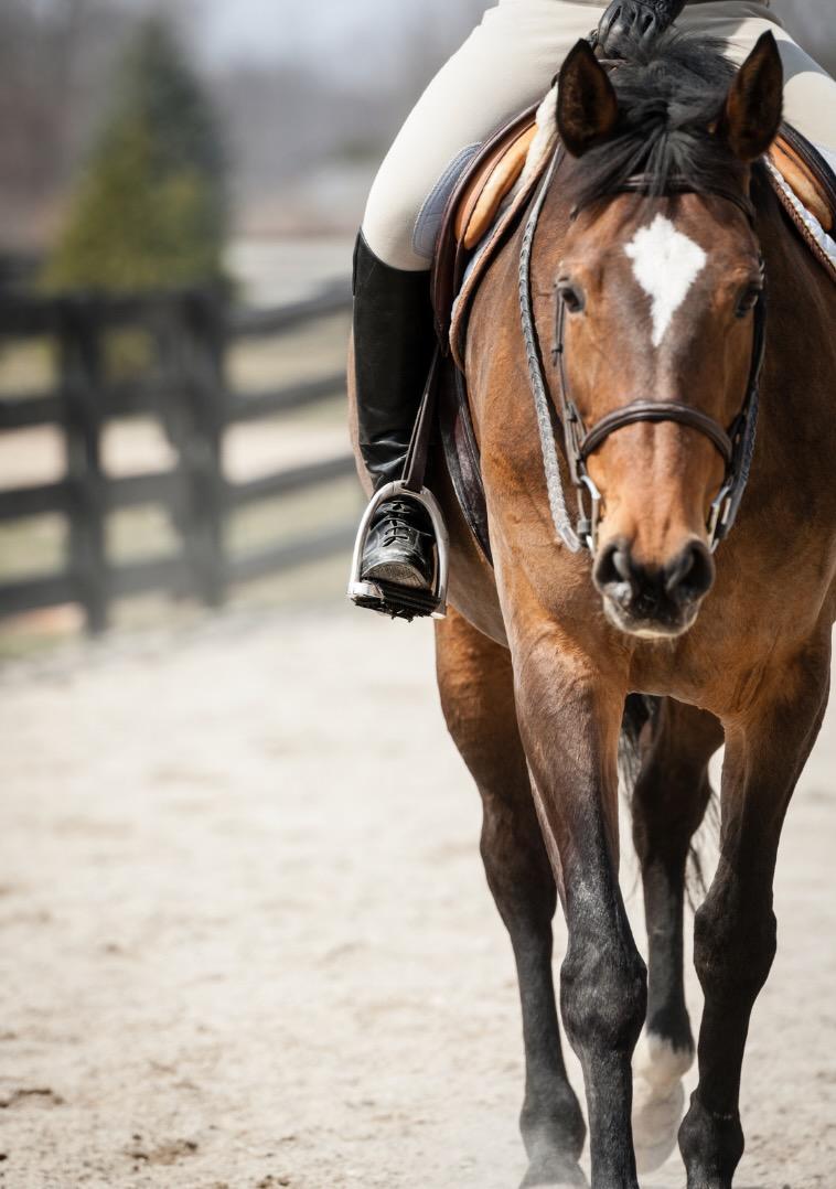 The Sin of Riding While Amateur | HORSE NATION